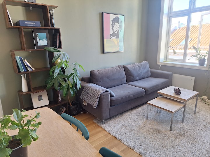 Charming Central Flat With Sunny Balcony - Oslo