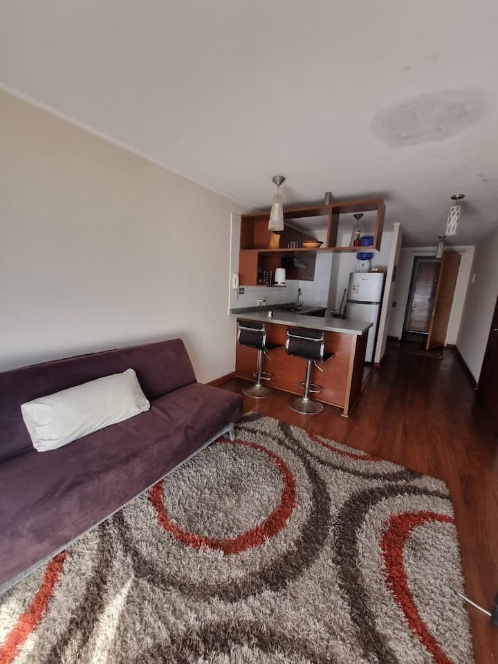 Departamento Muy Cercano A Playa, Valpo Y Viña - Valparaíso