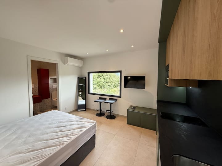 Studio Avec Cuisine D’été Et Piscine Privée - Corte