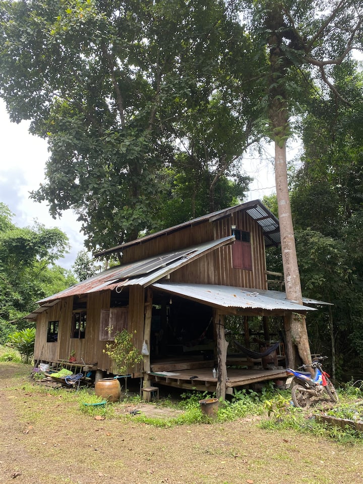 Rainforest Tiny House Retreat - Thong Pha Phum District