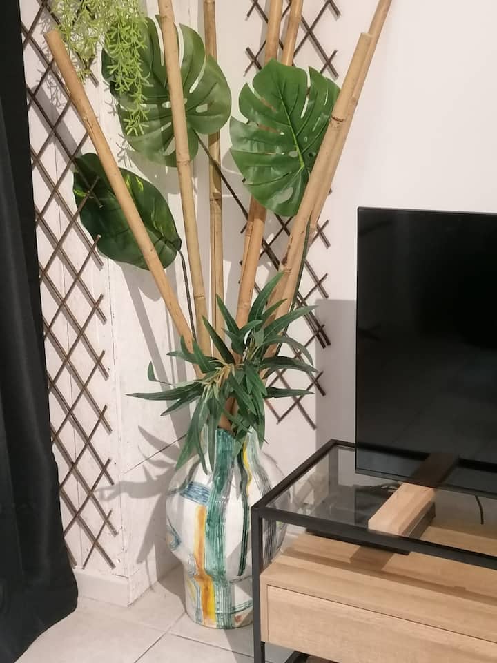 Appartement Neuf Avec Cour Intérieure Insolite - Caussade