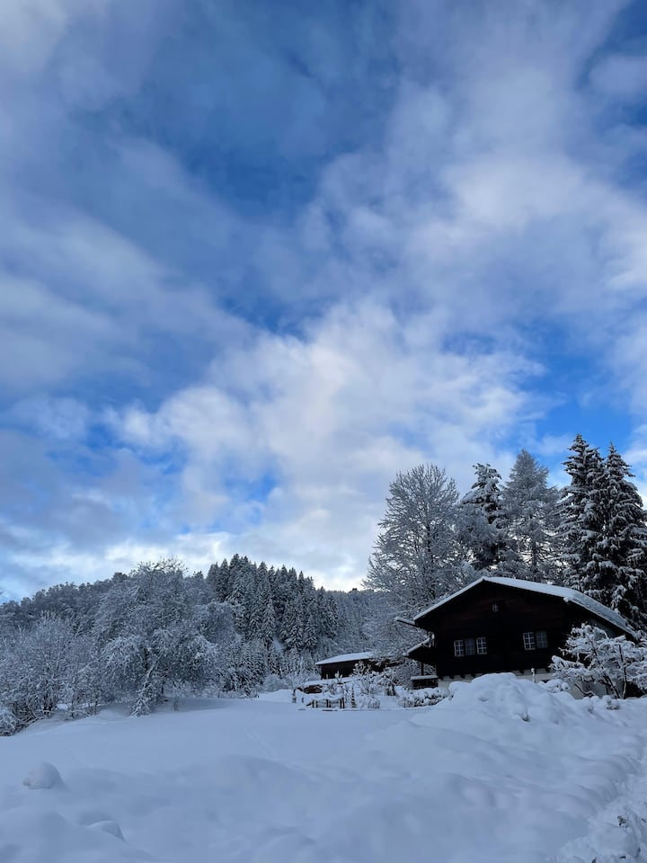 Chalet Semi - Disentis/Mustér