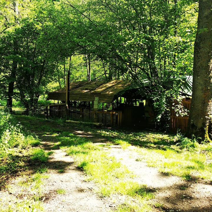 Yourte En Pleine Nature - Lac Chambon