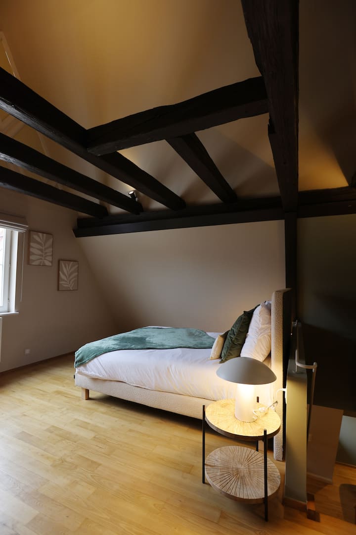 Pistache  Charm & Comfort In The Heart Of Colmar - フランス コルマール