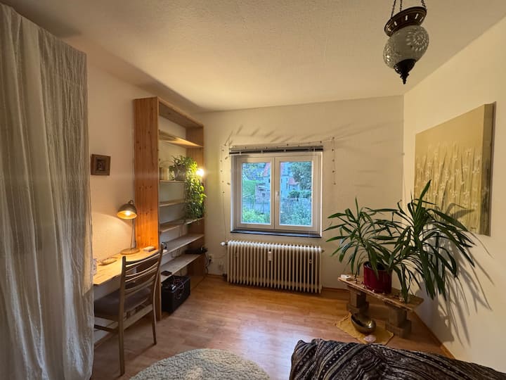 Gemütliches Ruhiges Appartement/ Nähe City - 하이델베르크