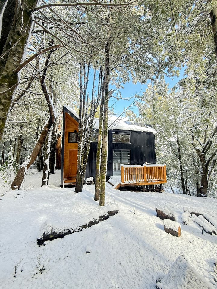 Lemuntu In The Heart Of Conguillío National Park - Chili