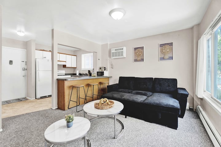 Escape Near Mi Stadium| Free Parking+laundry - Ann Arbor, MI