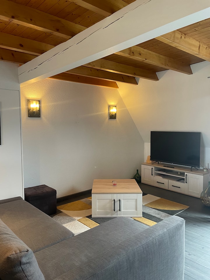 Appart Cosy à 5 Min De La Gare Et Proche Du Centre - Colmar