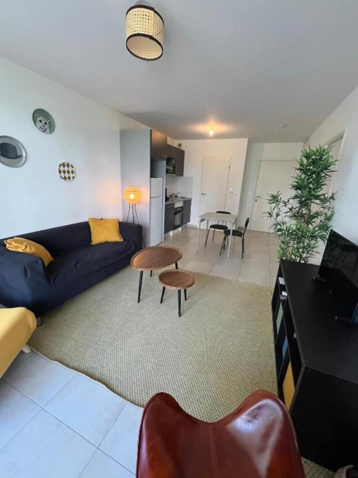 Charmant T2 Lumineux Parking Privé Belle Terrasse - Montpellier