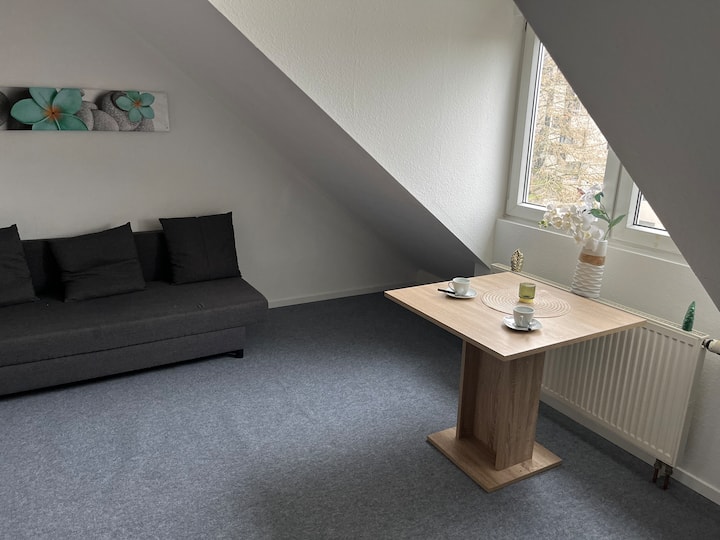 Helles Und Gemütliches Apartment - Bonn