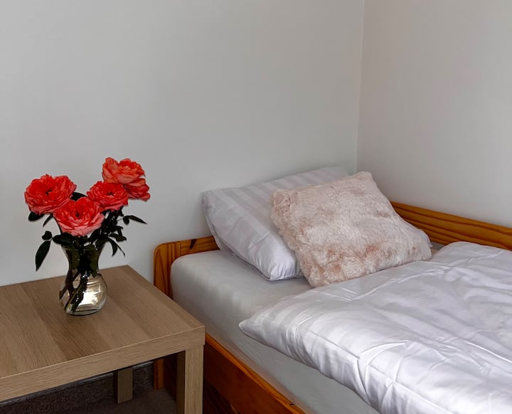 Pohodový Apartmán V Kv S Klidným Okolím. - Karlovy Vary