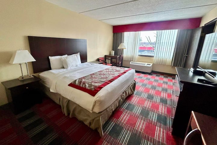 Albany Modern Room Next To Downtown With Breakfast - Albany, NY