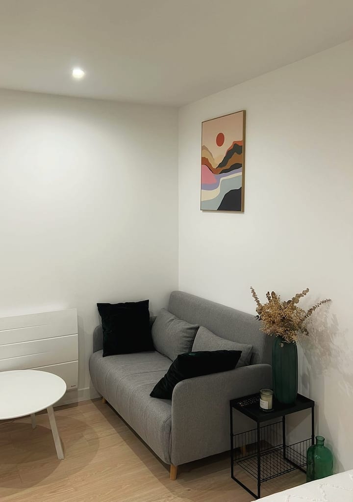 Loue Charmant T1 Bis - Mérignac