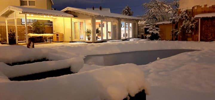 Un Hiver Atypique Et Douillet En Alsace - Black Forest