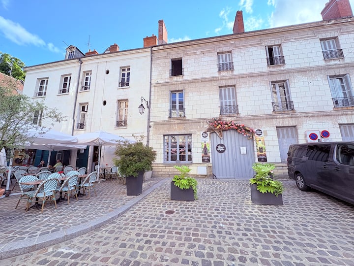 Gîte De Linéa Cité Royale De Loches - Loches