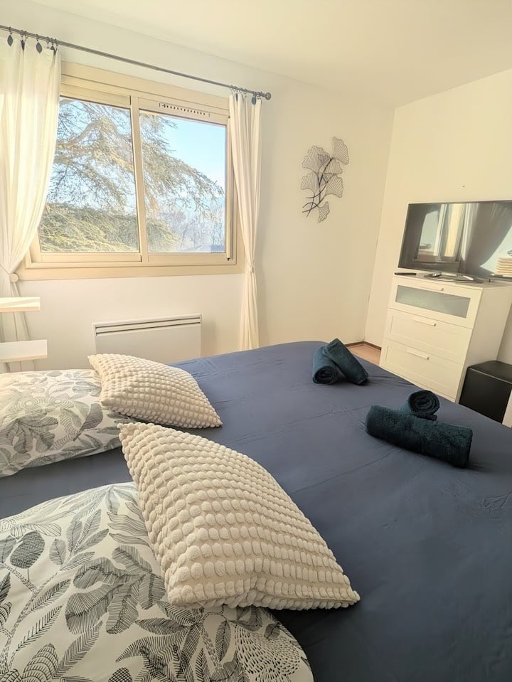 Charming Two-room Apartment, 100 M From The Spa, Ideal Location - Gréoux-les-Bains