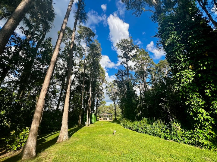 Cozy, Lake, Pool, Sleep12, Event Ready, Renovated - Odessa, FL