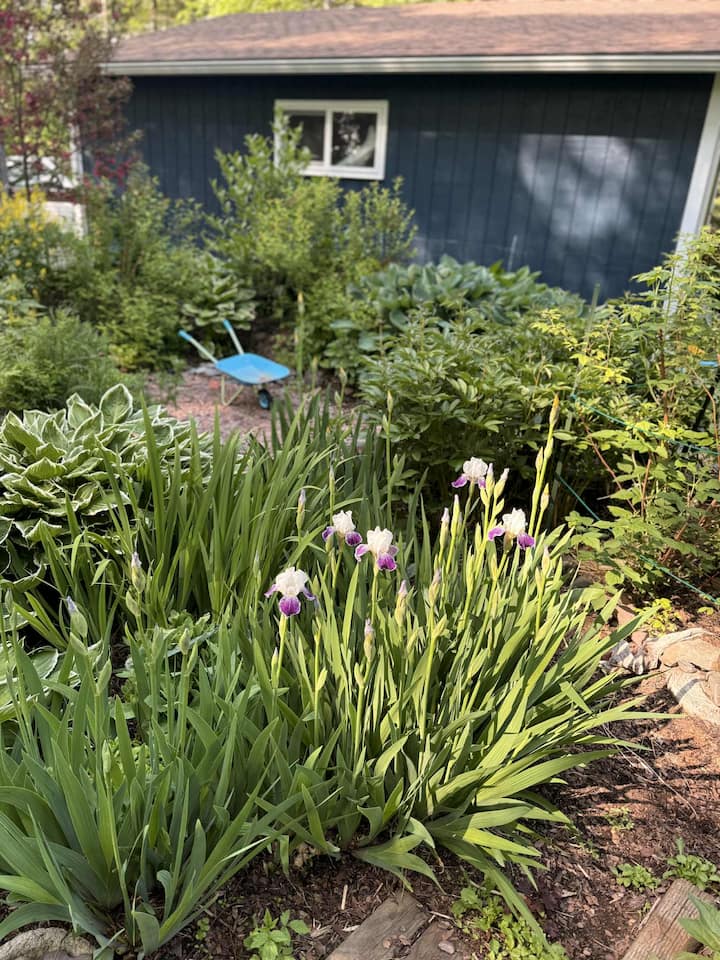 Cozy House In The “Coolest Small Town” - Grand Marais, MN