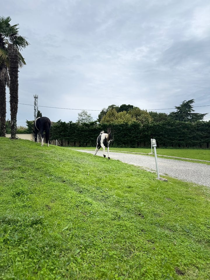 Petit Coin De Jardin Au Calme Pour Votre Escale - Bordeaux