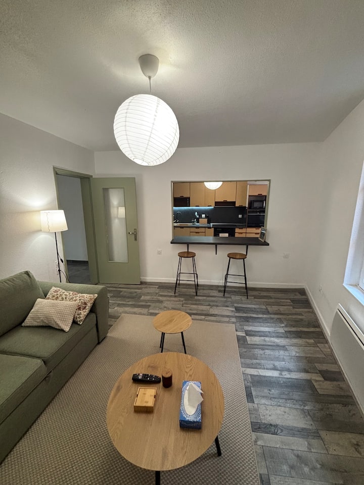 Appartement Au Cœur Du Centre-ville D’aurillac - Aurillac