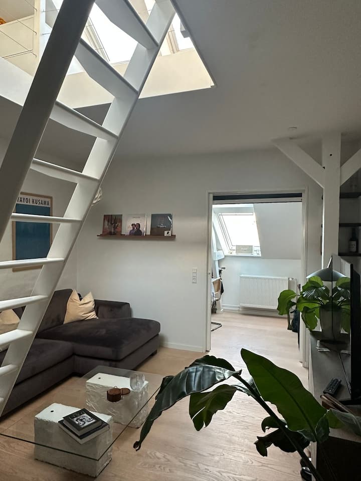 Central Aarhus Apt – Steps From Cozy Bars & Cafés - Aarhus