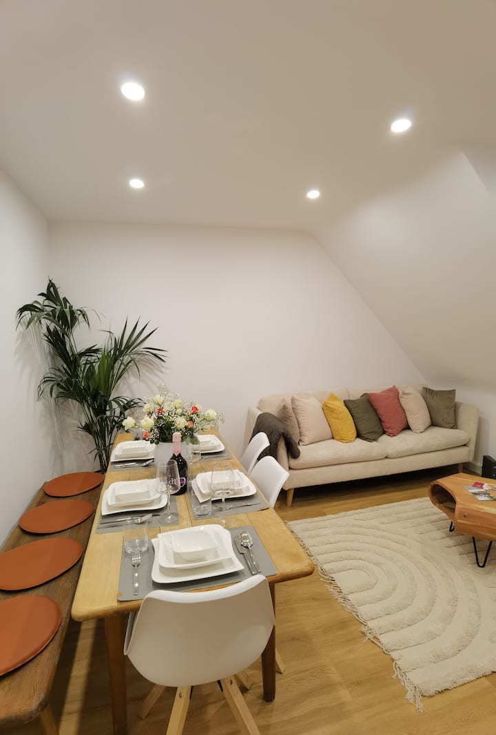 Renovated Apartment With View Of The Main River - Würzburg