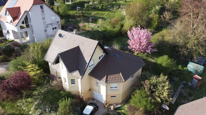 Appartement Individuel Dans Un éCrin De Verdure. - Altkirch