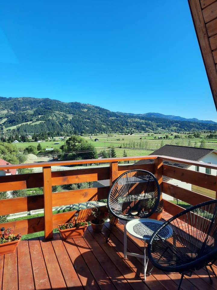 A-frame Tiny House In Saru Dornei - Panaci