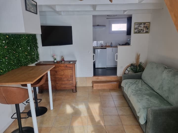 Grand Studio Mezzanine - Nimes