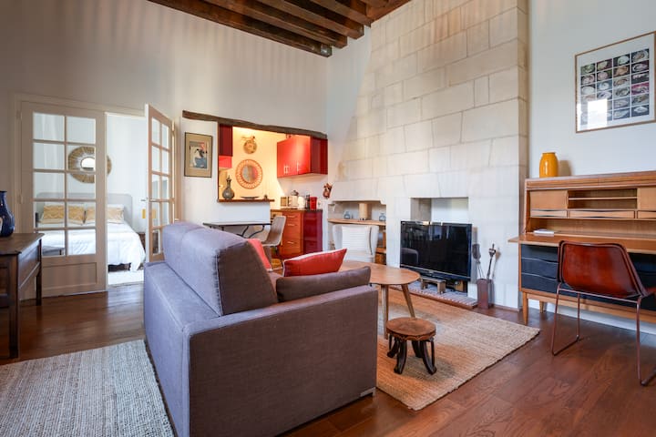 *Nouveau* Charmant 2-p Lumineux Au Centre De Tours - Tours