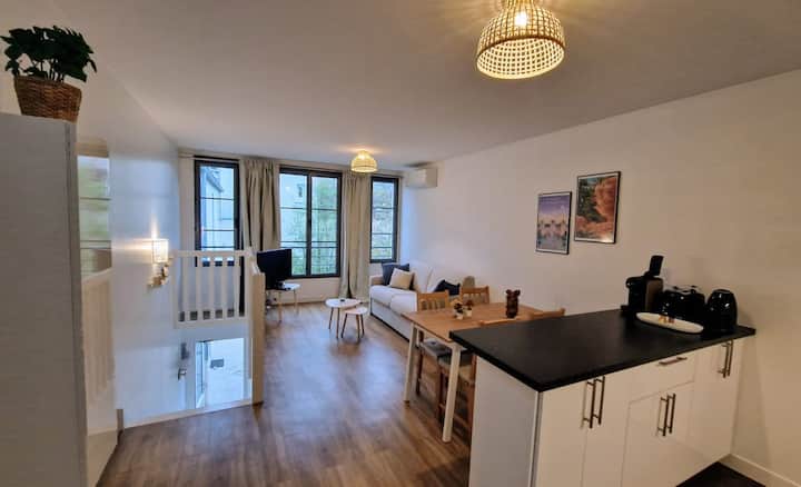 Loft Cristal - Centre Fontainebleau - Insead - Fontainebleau