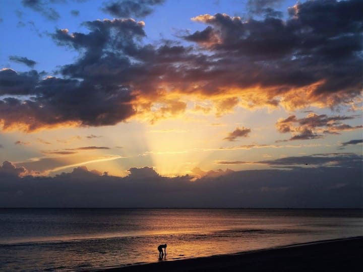 Monthly Rental Only.  Bonita Beach A Hidden Gem! - Bonita Springs, FL