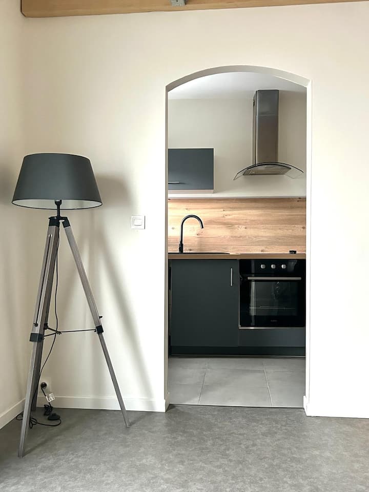 Appartement Cosy - Freyming-Merlebach
