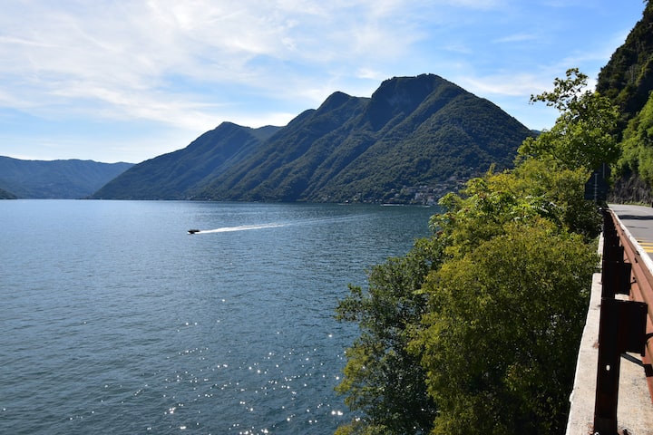 [Como Lake] Prestigioso E Storico Appartamento - Tremezzina