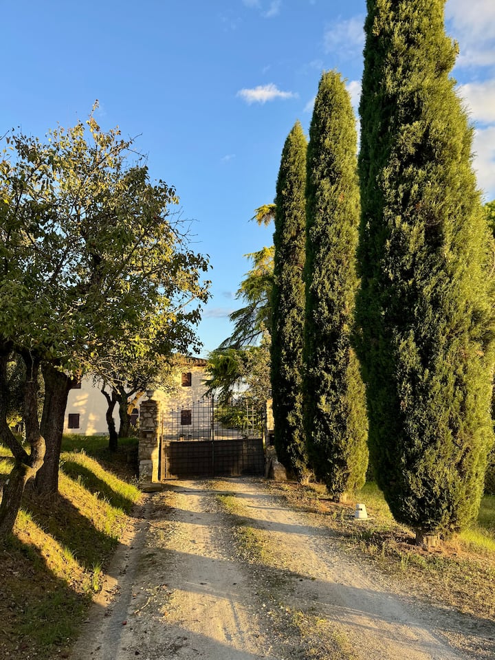 Podere Da Mario: Olivi Cipressi E Pace Nel Chianti - Poggibonsi