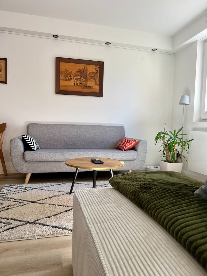 Maison Indépendante Climatisée Avec Petit Garage - Ottrott