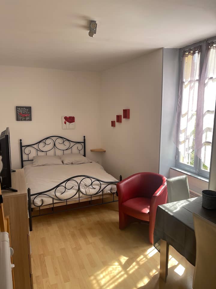 Abbatiale N4 :Studio 2 Personnes 100m Des Thermes - Néris-les-Bains