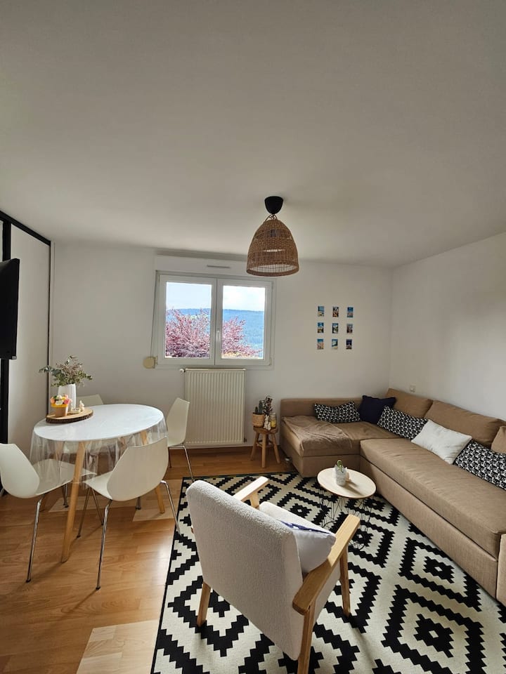 Agréable Appartement Individuel Avec Vue - Le Locle