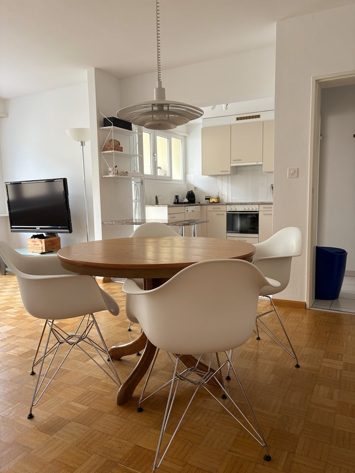 Cosy 2.5 Room Flat At The Rhine - Basel