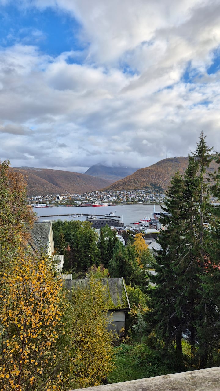 Sentrumsnær Leilighet I æRverdig  Villa Ifra 1924 - Tromsø