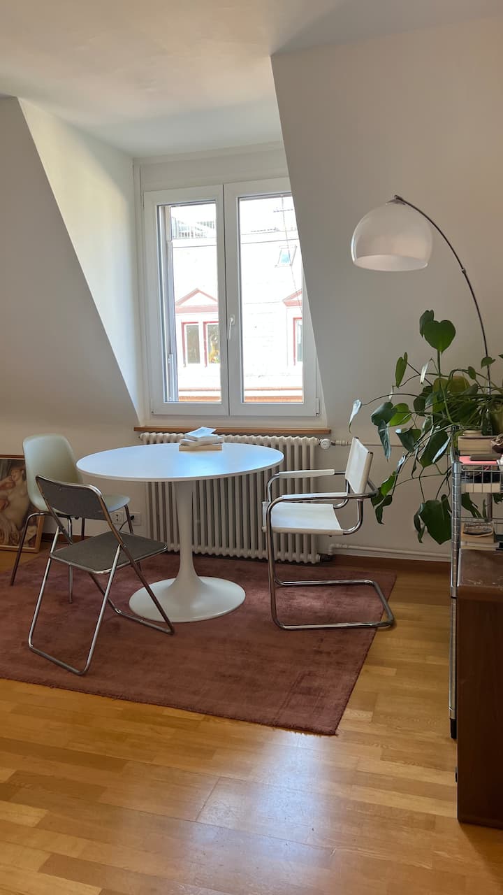 Cozy & Central Maisonette Flat At Lochergut Zurich - Zurich