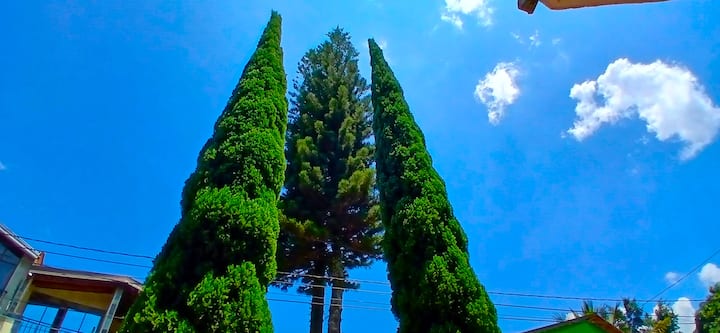 Apartamento Piso 3 - Copacabana