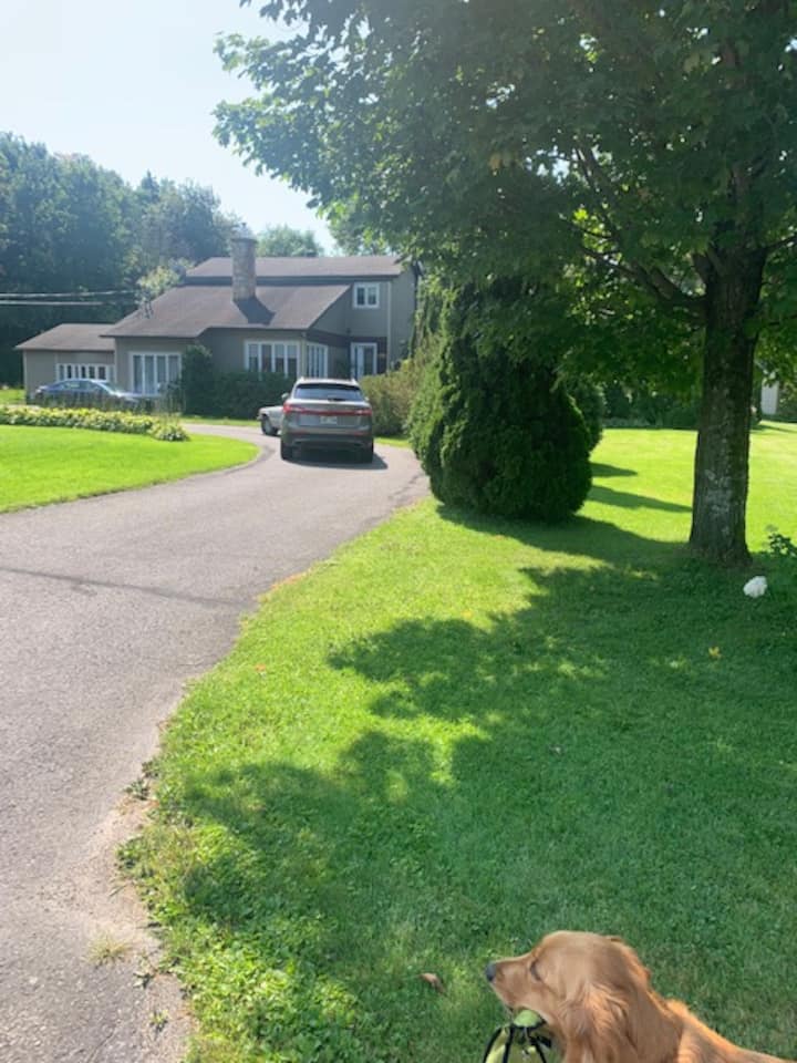 La Campagne En Ville - Levis