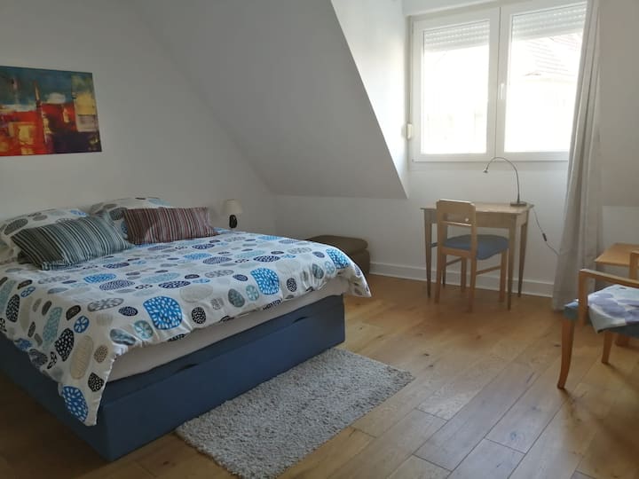 Grande Chambre Indépendante Avec Sdb, Gare/cv - Straatsburg