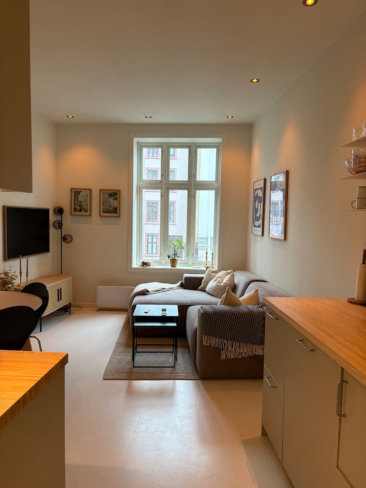 Sjarmerende Leilighet Midt I Hjertet Av Oslo By - Oslo