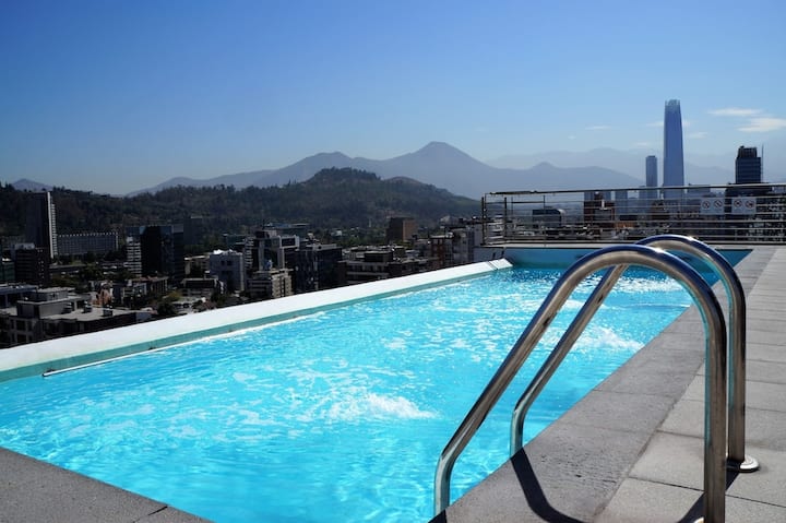 Hermoso Departamento Renovado En Providencia - Santiago