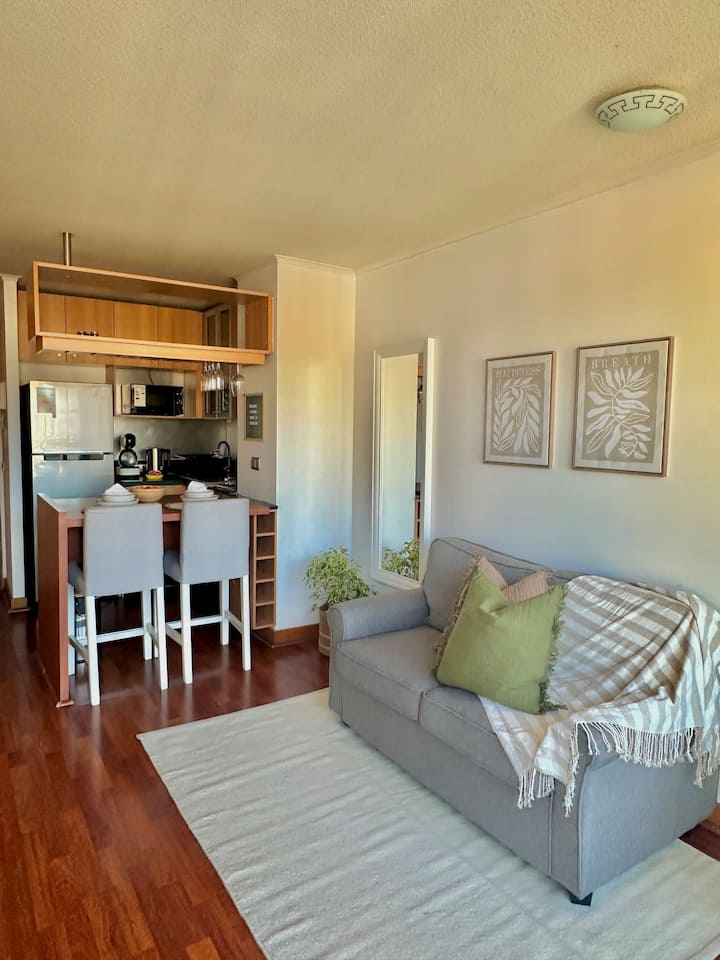 Hermoso Departamento Renovado En Providencia - Santiago (Chile)