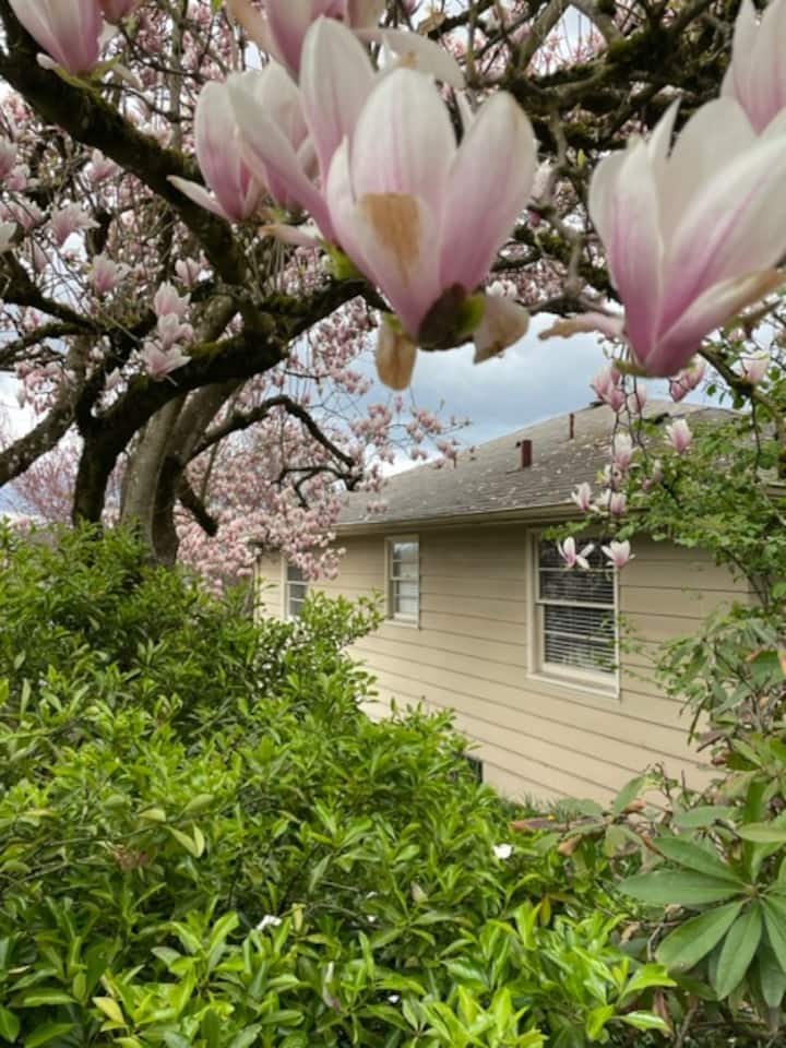 Mid-century Guest Suite In Mt Tabor! - Portland, OR