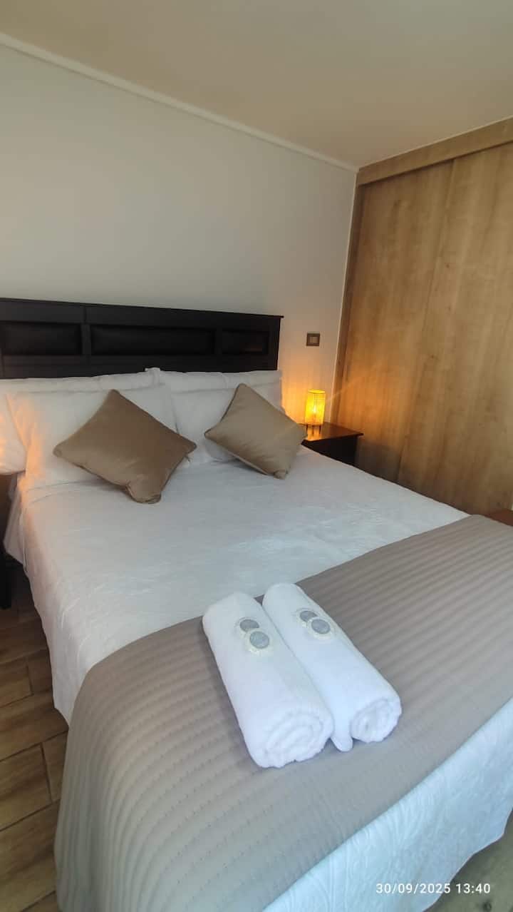 Departamento Nuevo, Moderno Y Confortable - Providencia