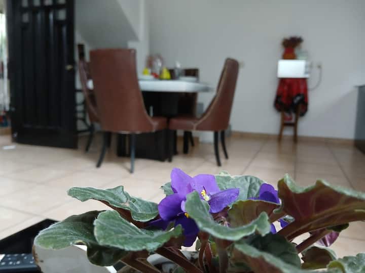 Espacios Amplios, Comodidad, Limpieza, Zona Segura - Morelia